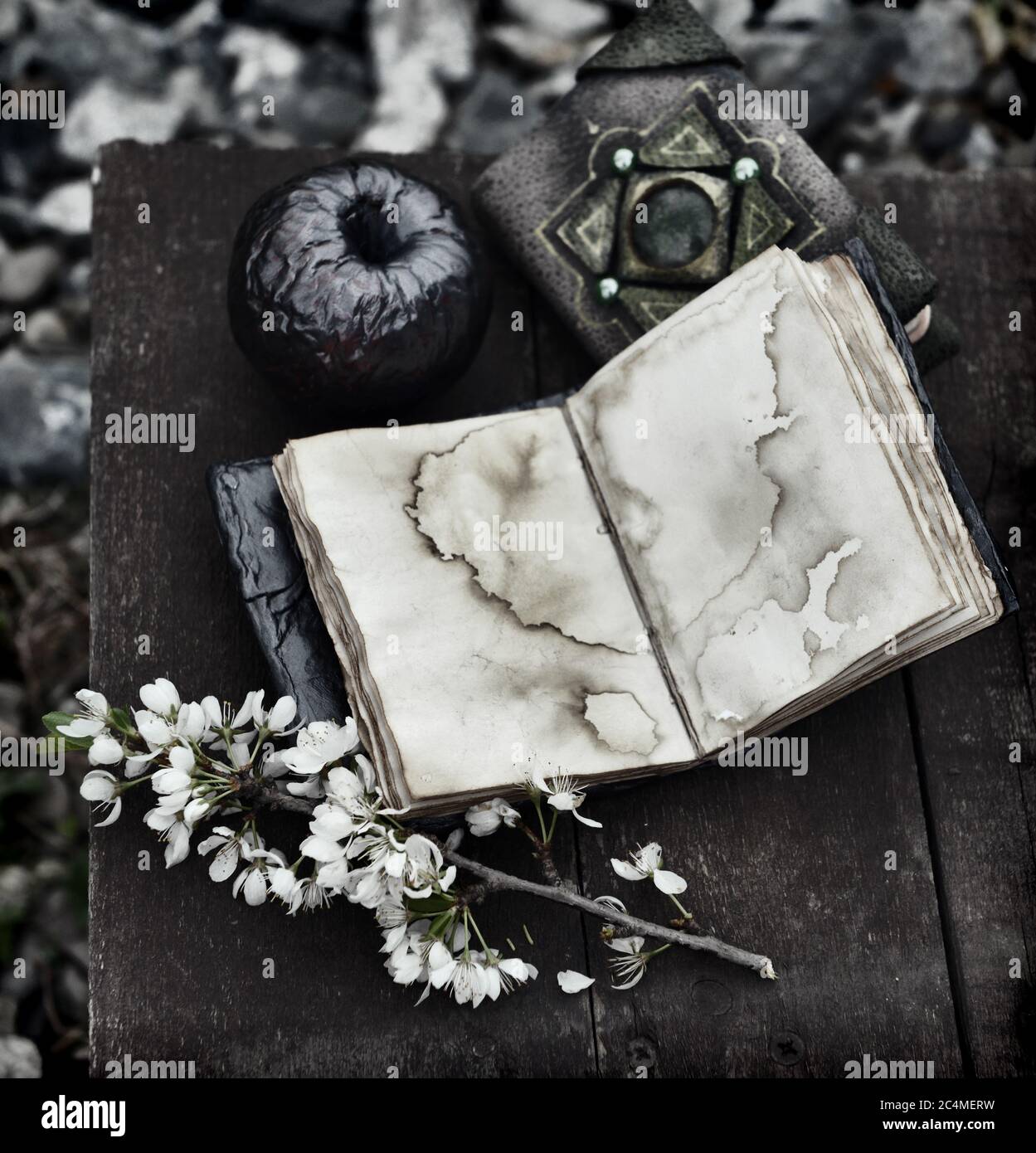 Grunge still life with open diary, black apple and blooming branch on ...