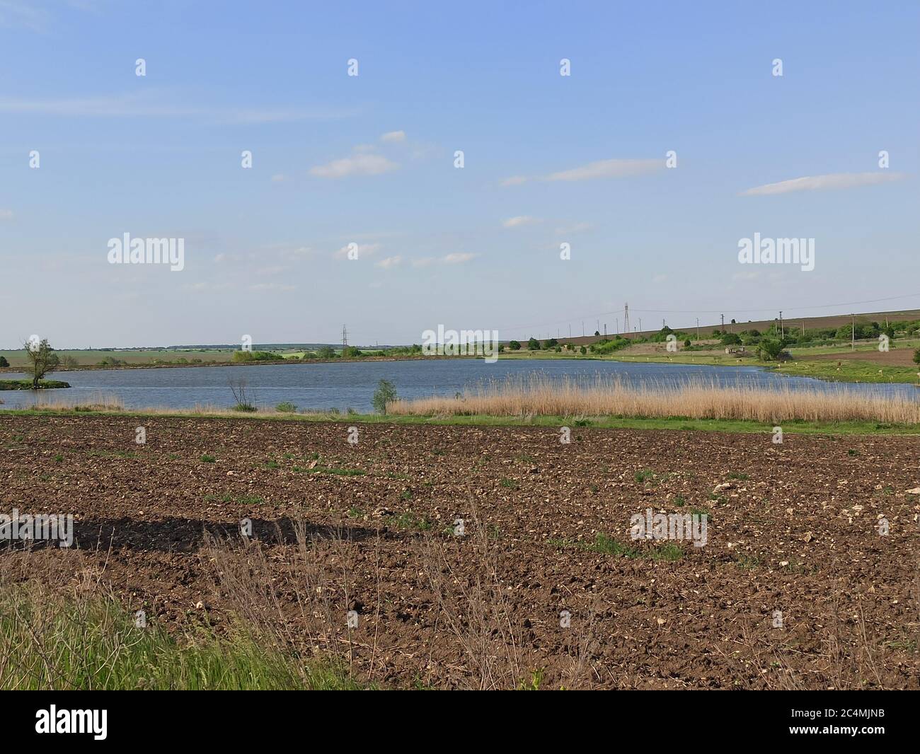 Beautiful calm lake along with greenery under a blue sky Stock Photo ...