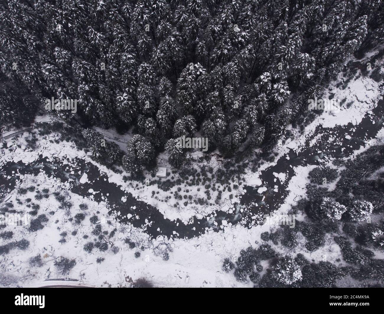 Aerial shot of the beautiful snow-capped pine trees in the forest Stock ...