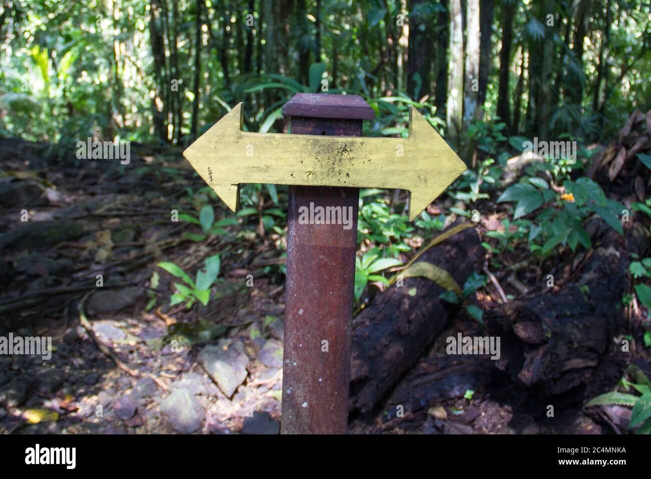 Closeup of a wooden arrow with points to opposite directions in a ...