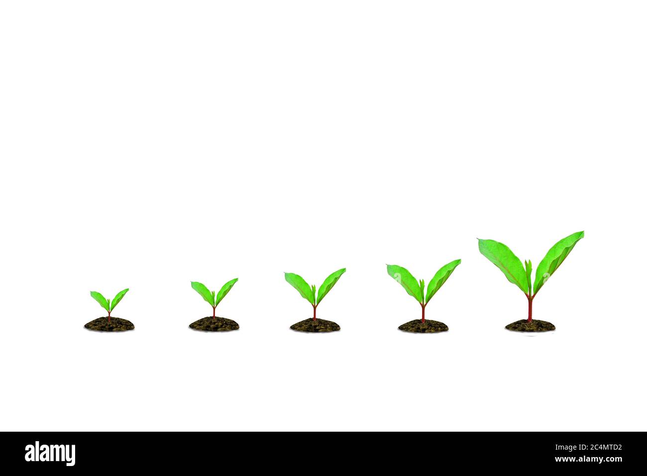 Gold coins shows finances hi-res stock photography and images - Alamy