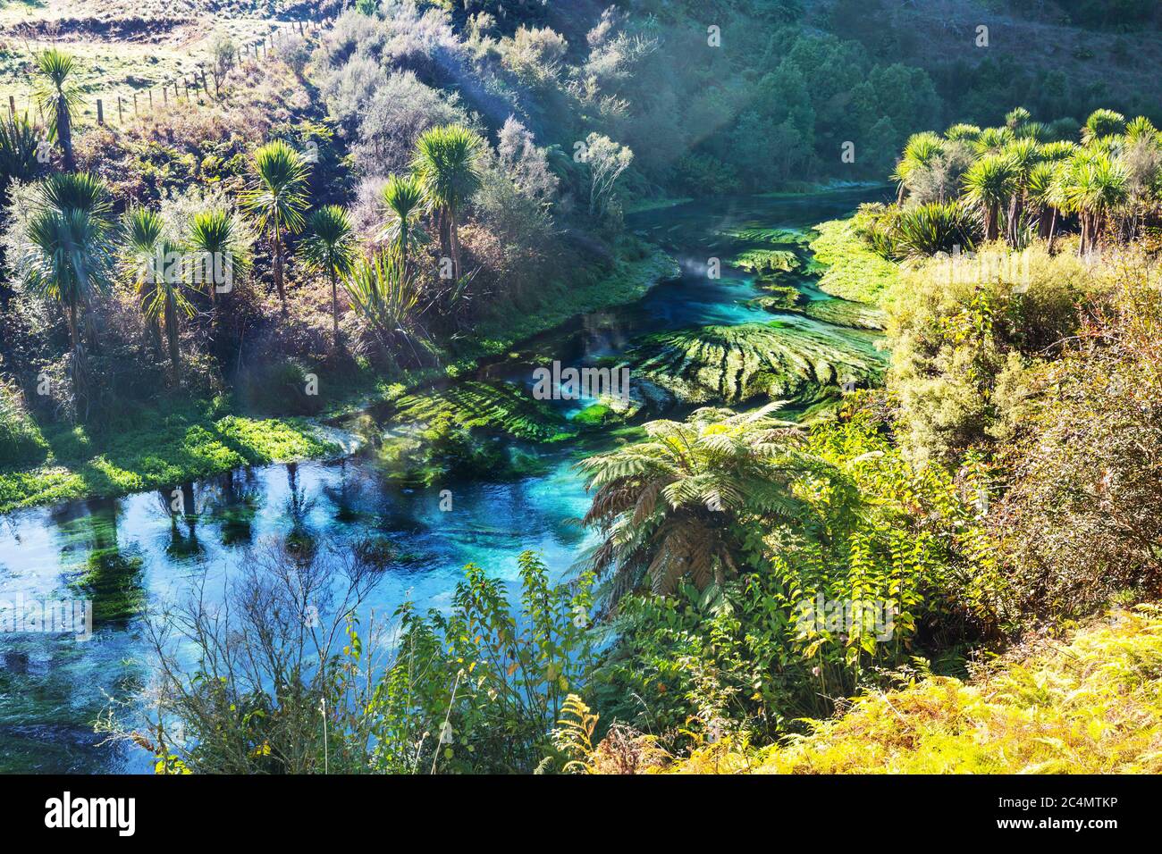 Unusual blue spring in New Zealand. Beautiful natural landscapes Stock ...