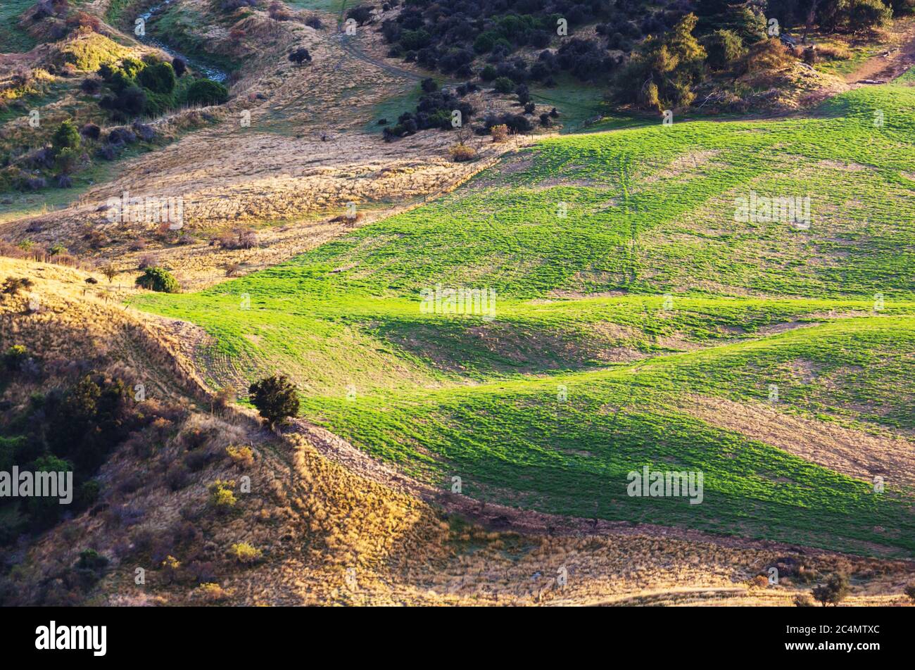 Beautiful rural landscape of the New Zealand - green hills and trees ...