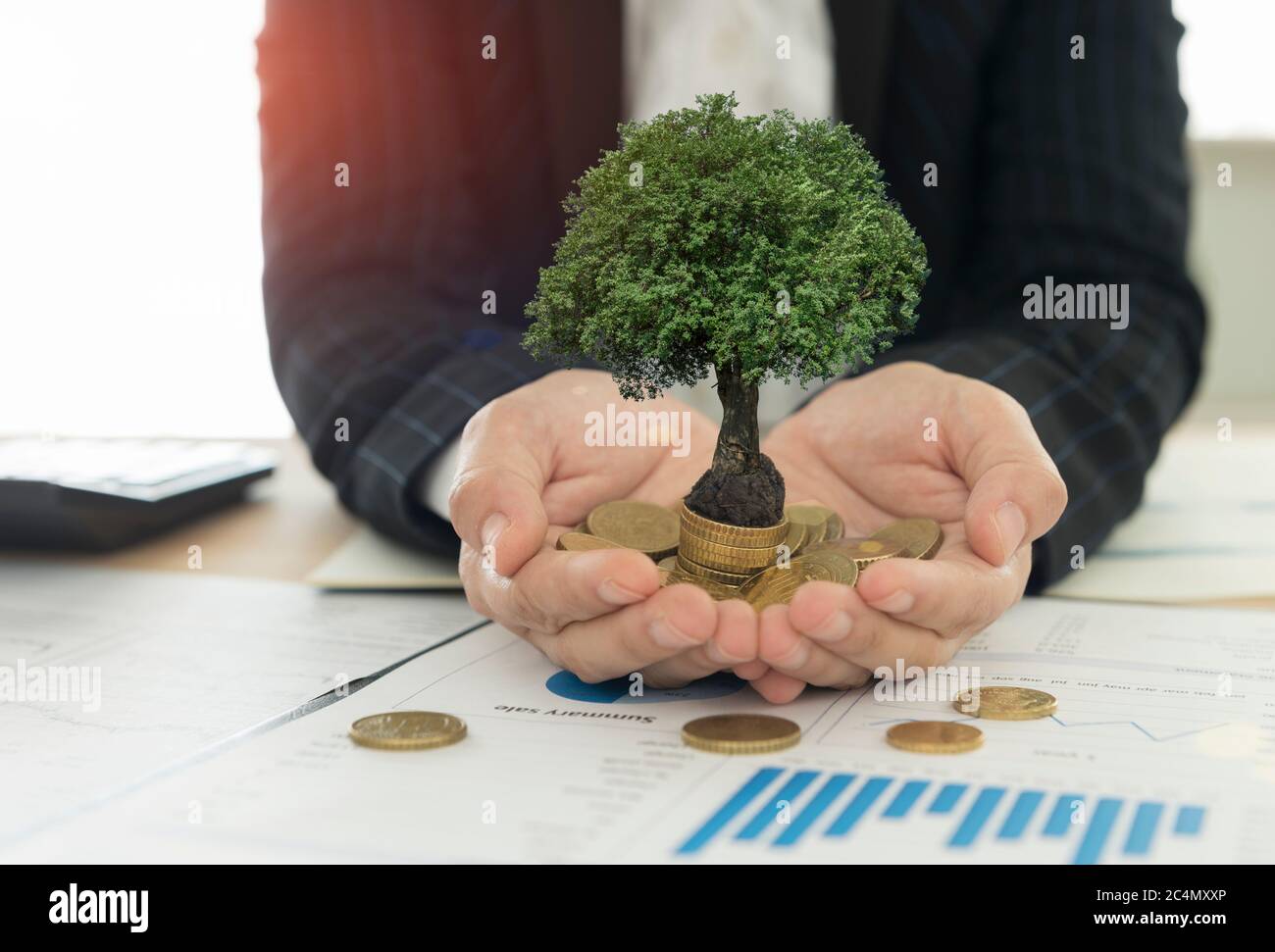 Investment concept, business people holding tree grow on coin stack ...