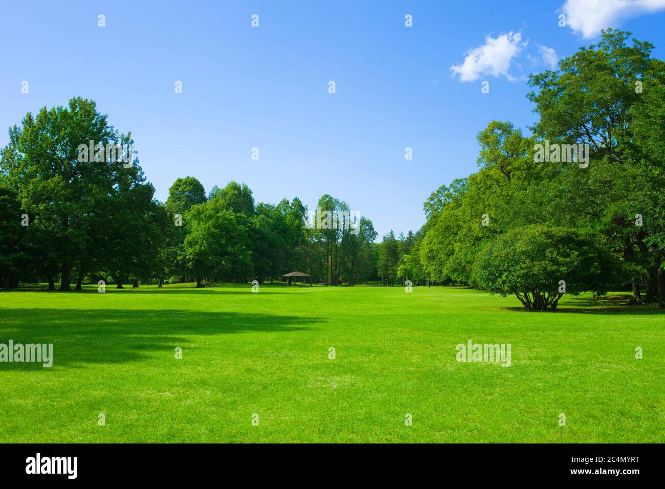 Forest lawn hi-res stock photography and images - Alamy