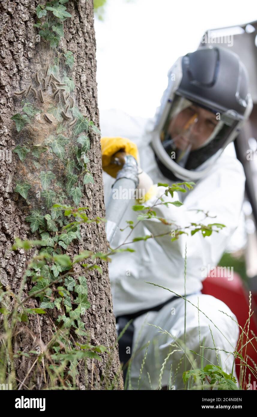 17 June 2020, Lower Saxony, Osnabrück: Lars Hellmann, employee of the ...