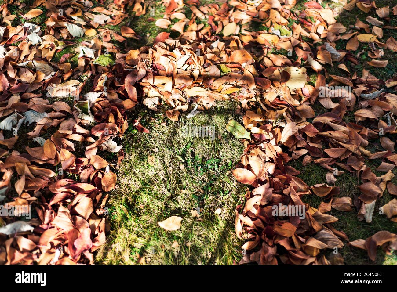 Stomp of wood hi-res stock photography and images - Alamy