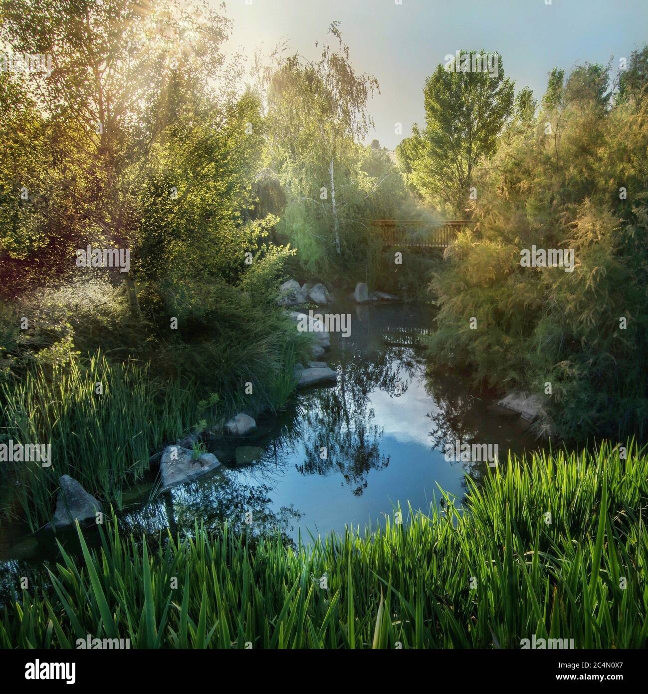 Beautiful shot of a reflective pond under sunlight Stock Photo - Alamy