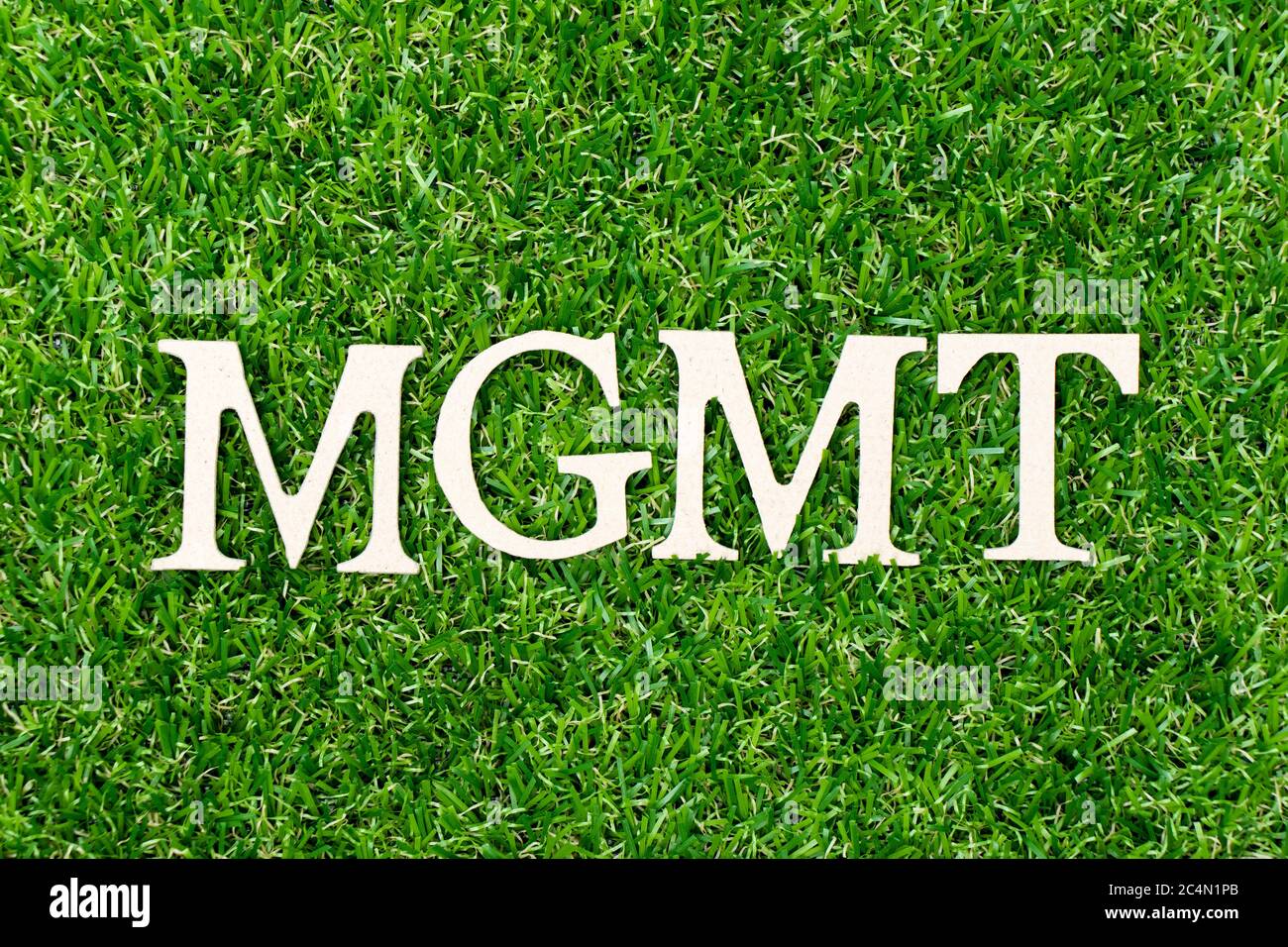 Wood letter in word mgmt (abbreviation of Management) on green grass ...