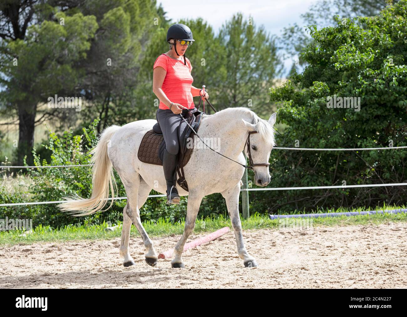 riding girl are training her horse in equestrian center Stock Photo - Alamy