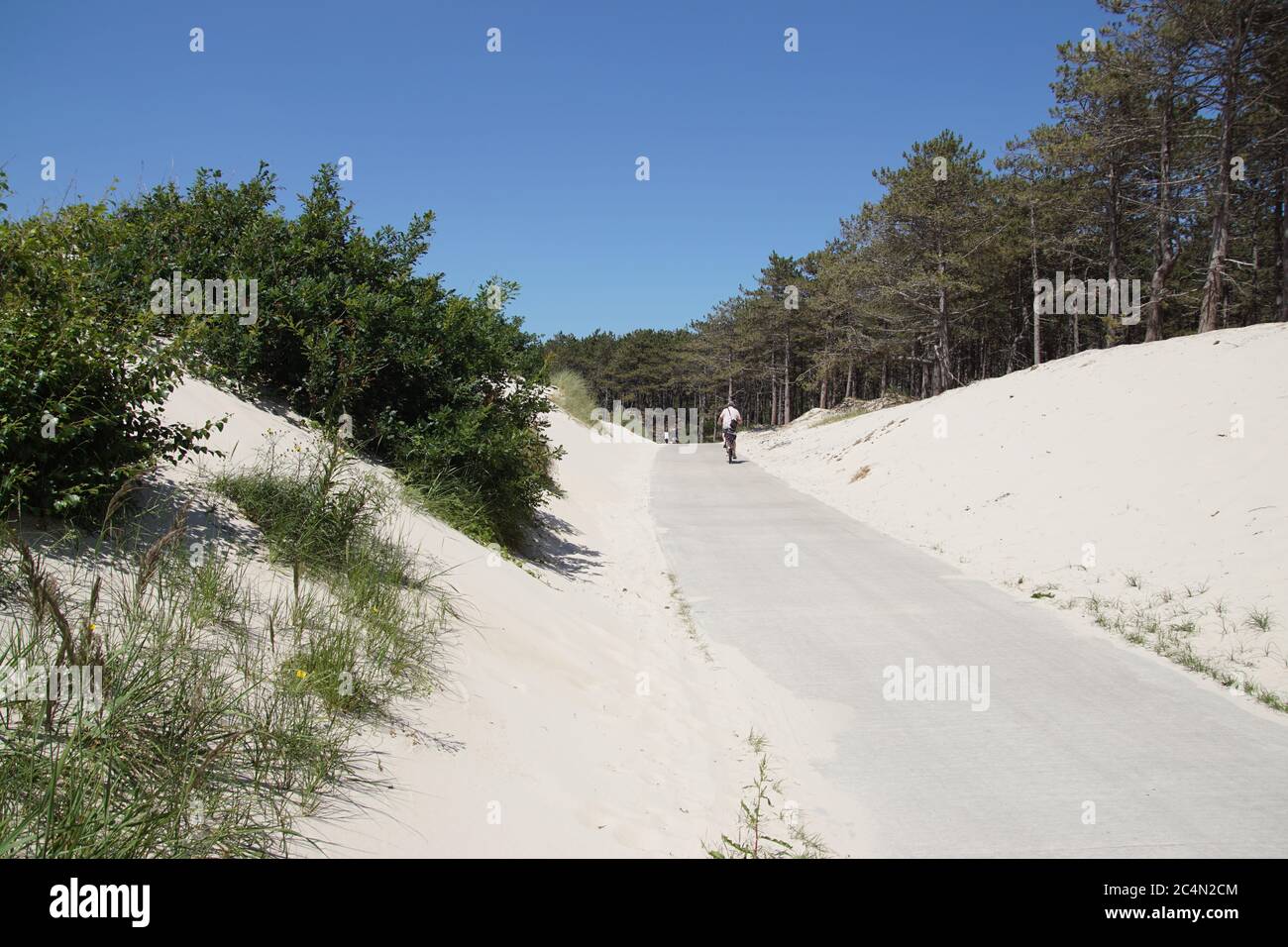 Cycle path through the Dutch dunes near Bergen and Schoorl and North ...