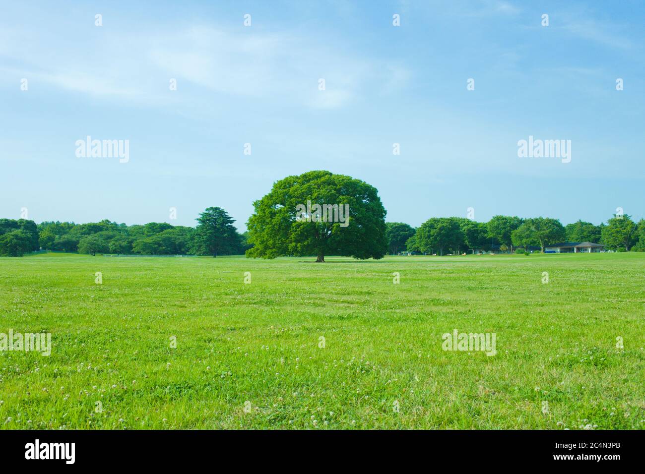 Ecology and light lawn hi-res stock photography and images - Alamy