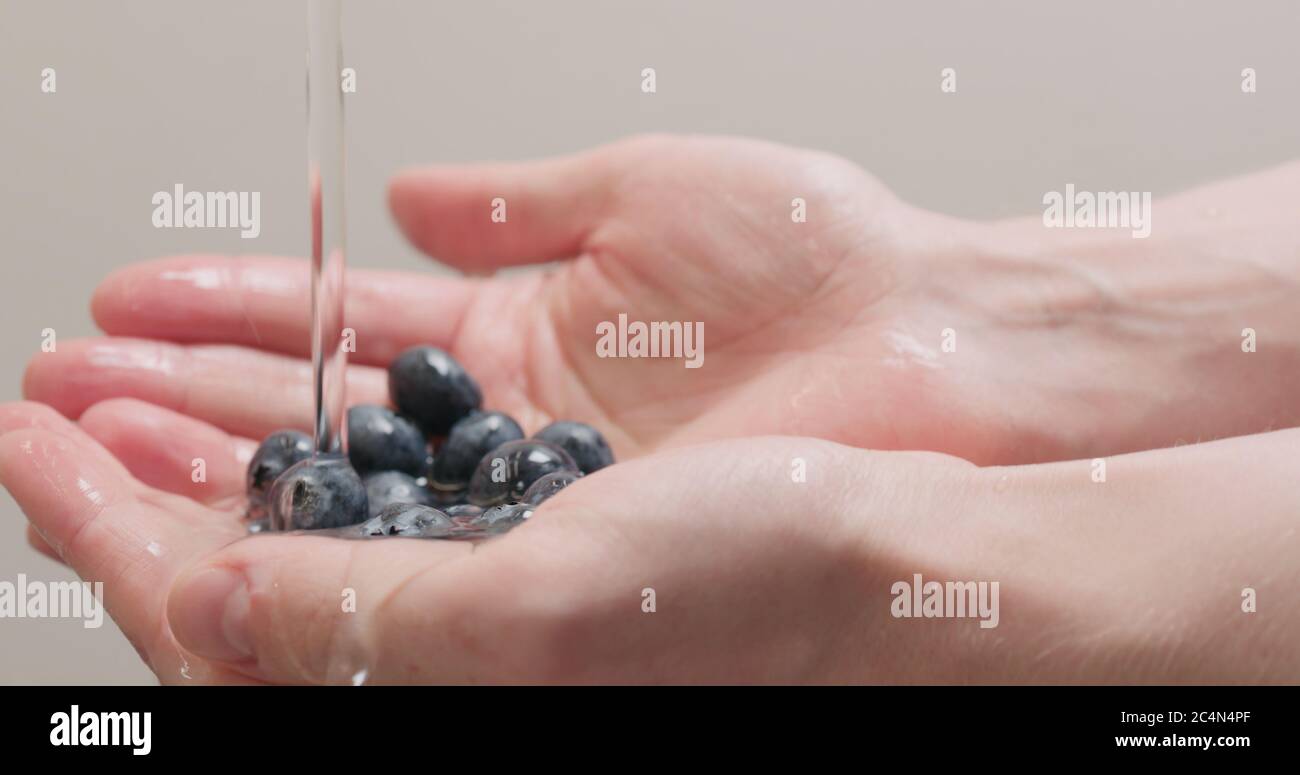 closeup man hands wash blueberries Stock Photo - Alamy
