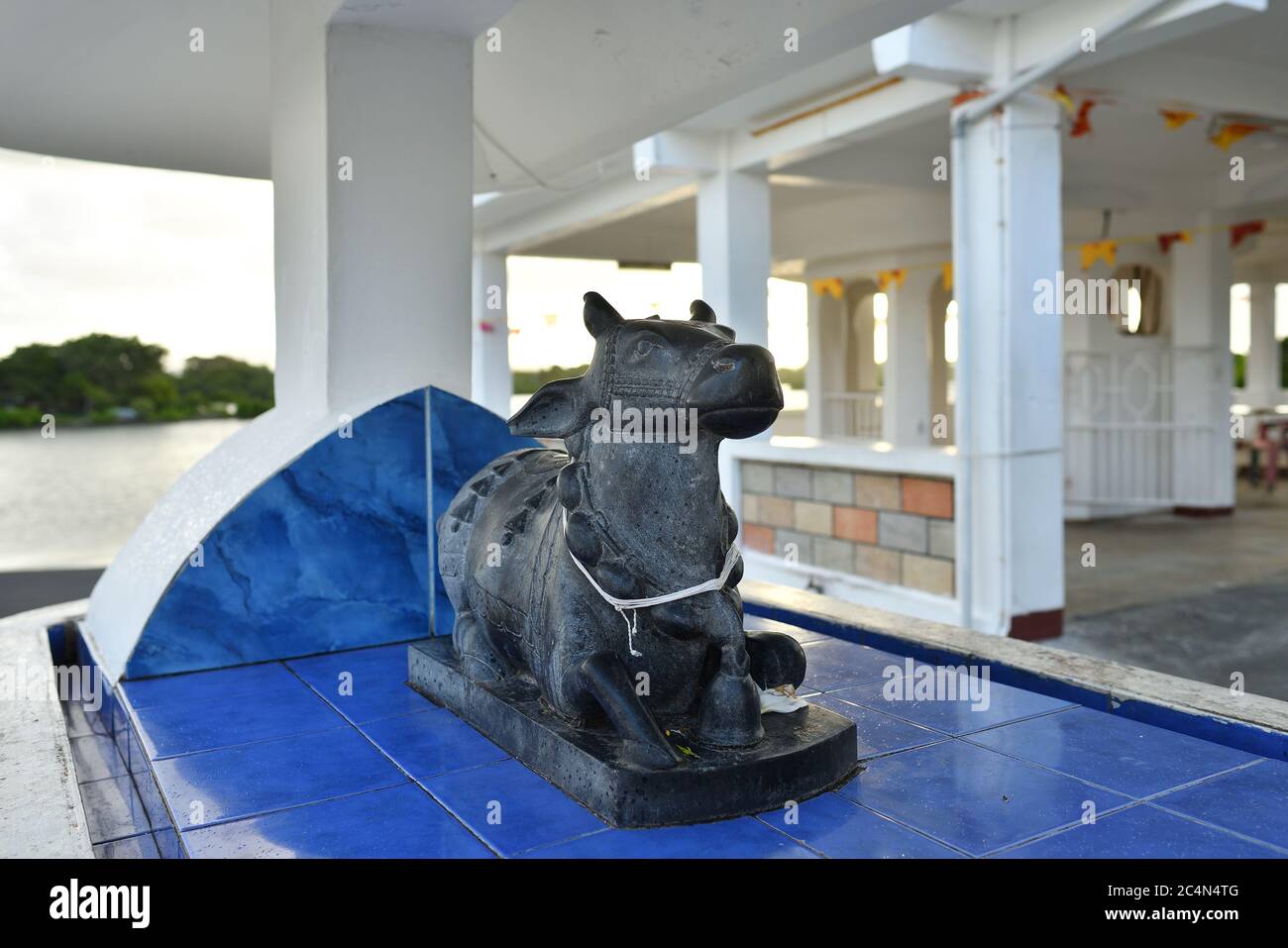 Poste de Flacq, Mauritius - May 2, 2013: Holy cow statue in the Hindu ...