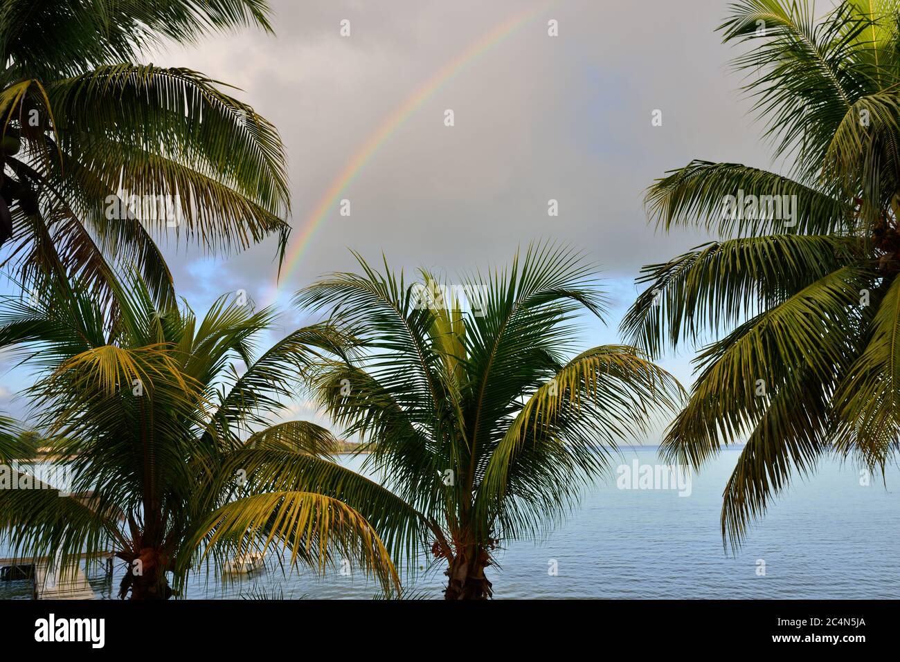 Rainbow over palm trees. Mauritius Stock Photo - Alamy