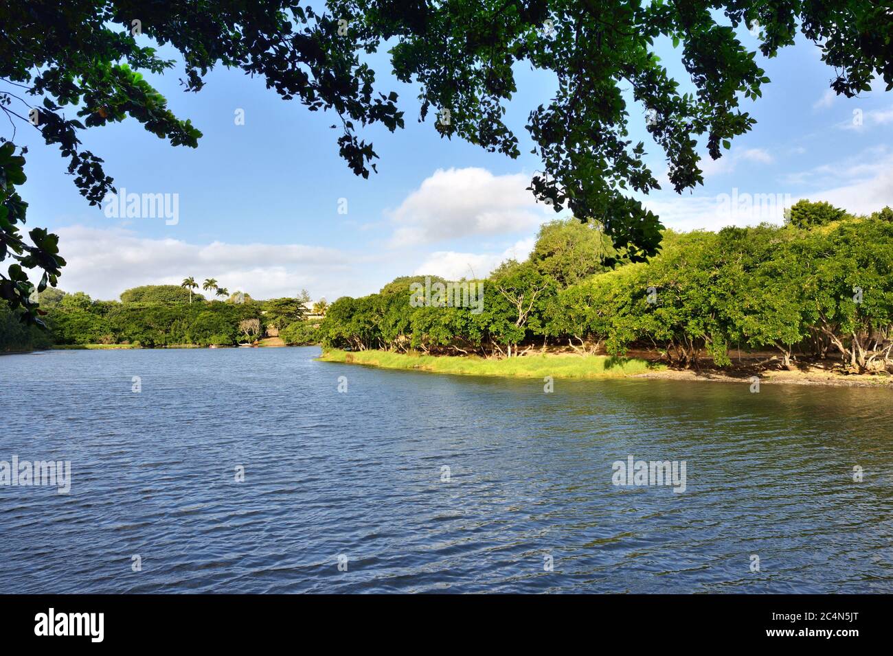 Citron river at Mauritius island Stock Photo - Alamy