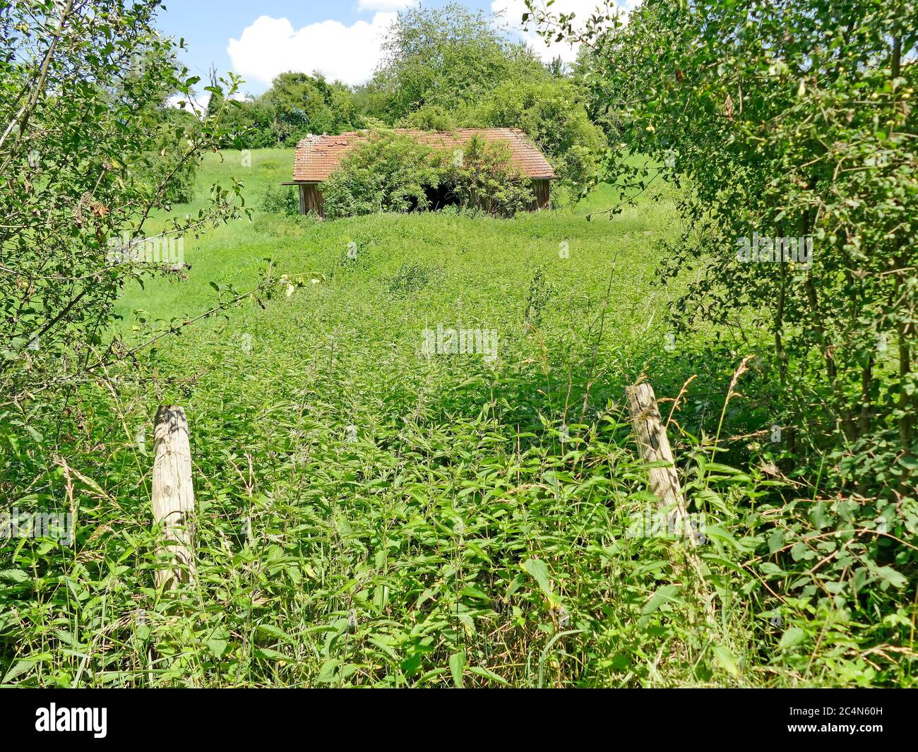 old hidden barn in the green Stock Photo - Alamy