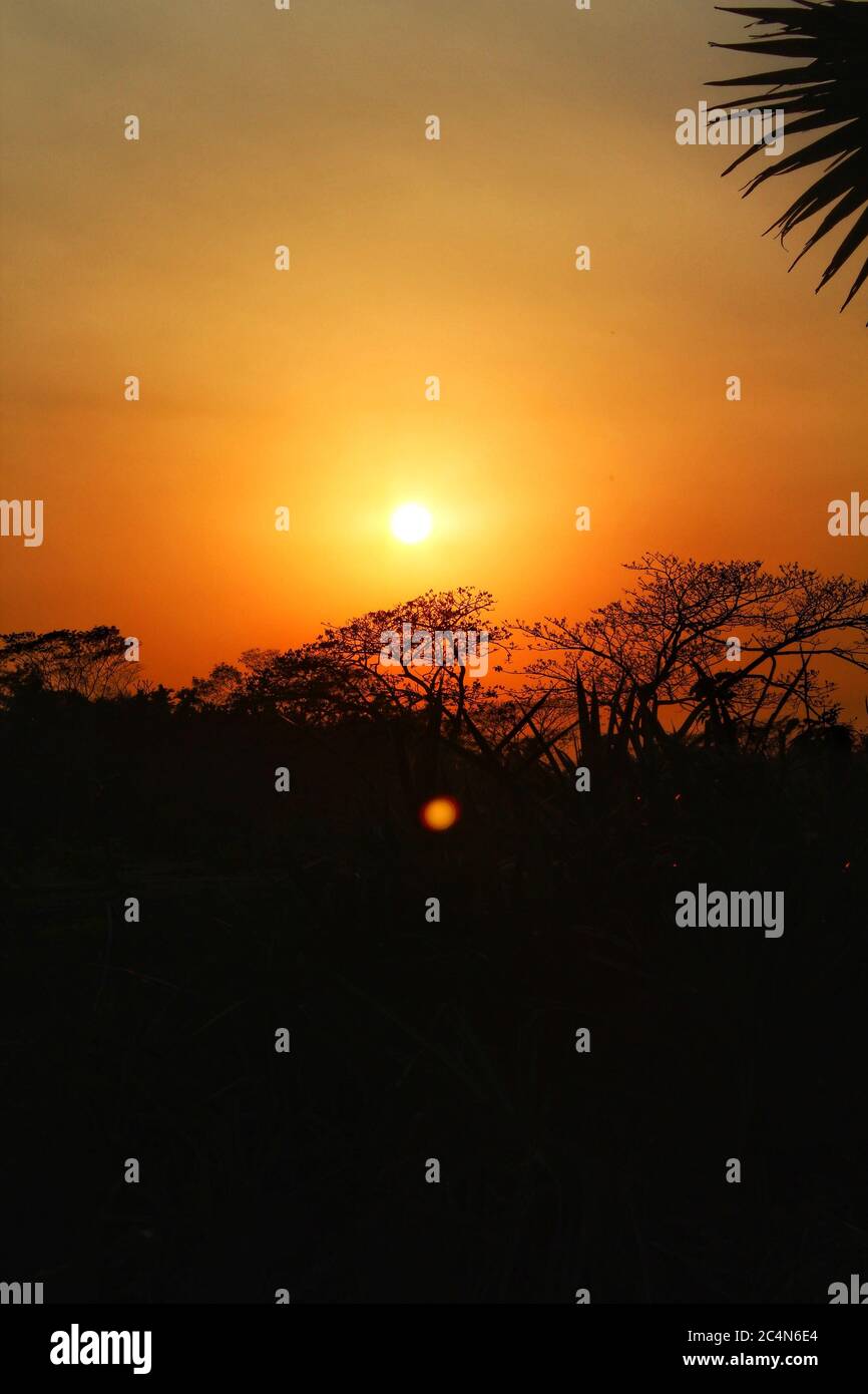 Shadow scene view silhouette hi-res stock photography and images - Alamy