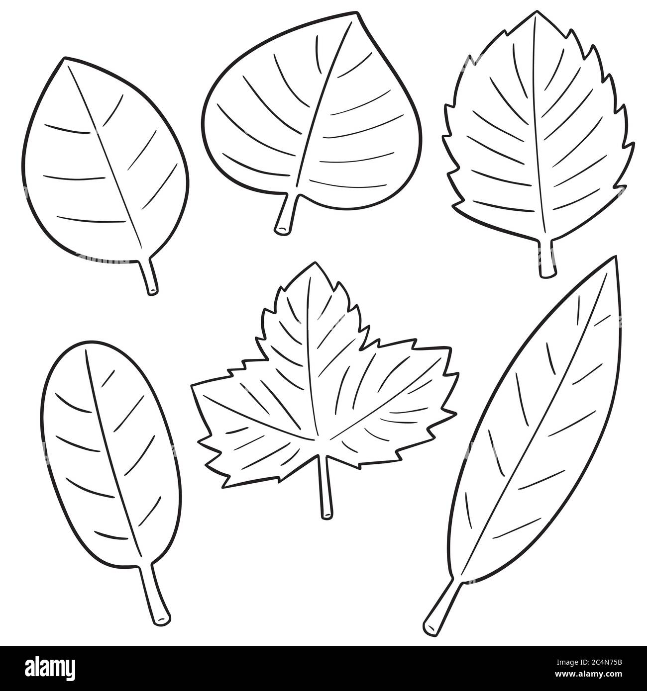 vector set of leaves Stock Vector Image & Art - Alamy