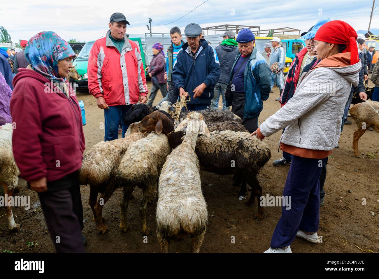 Animal bazaar karakol hi-res stock photography and images - Alamy