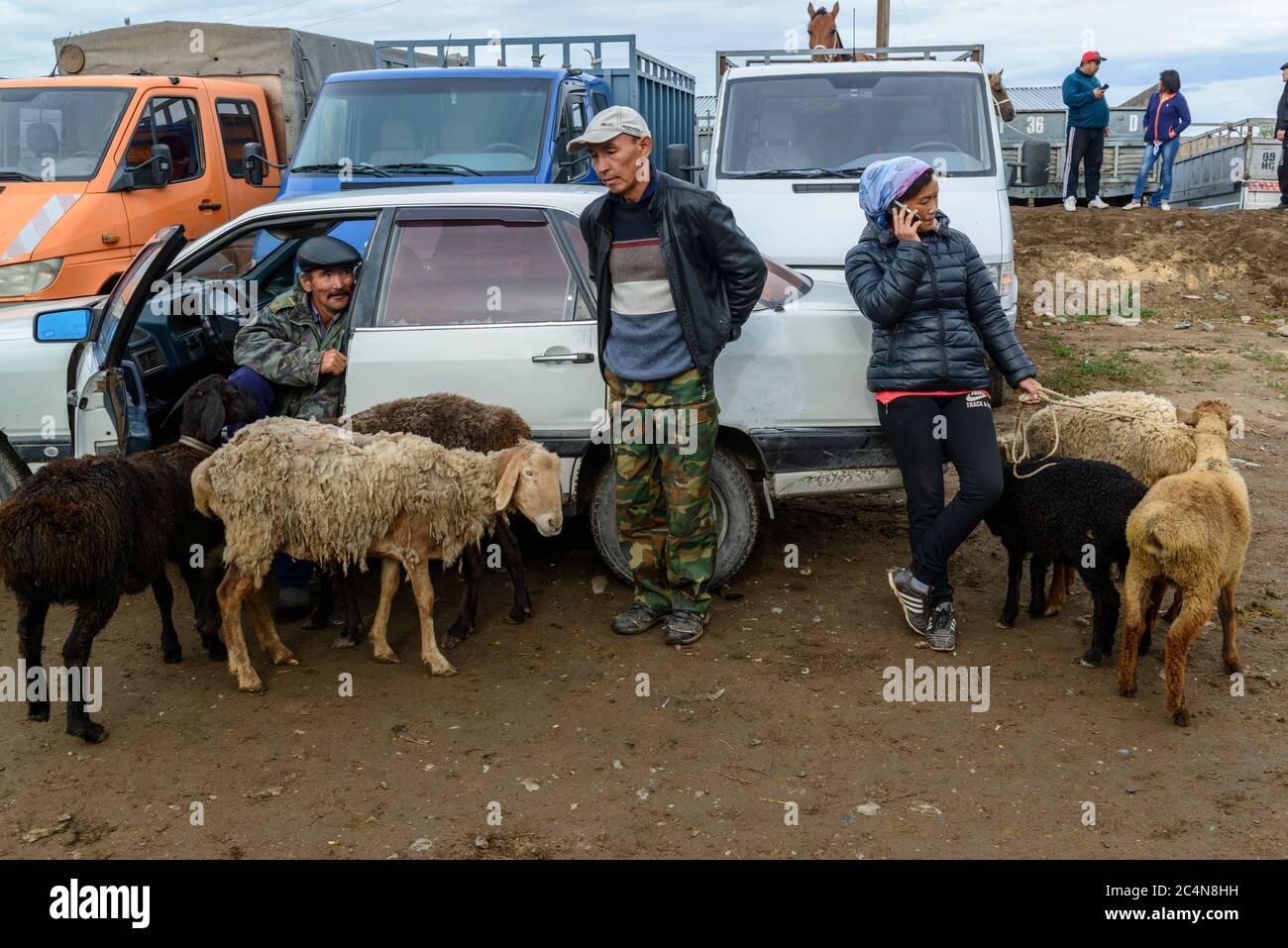 Animal market in Karakol, Kyrgyzstan Stock Photo - Alamy
