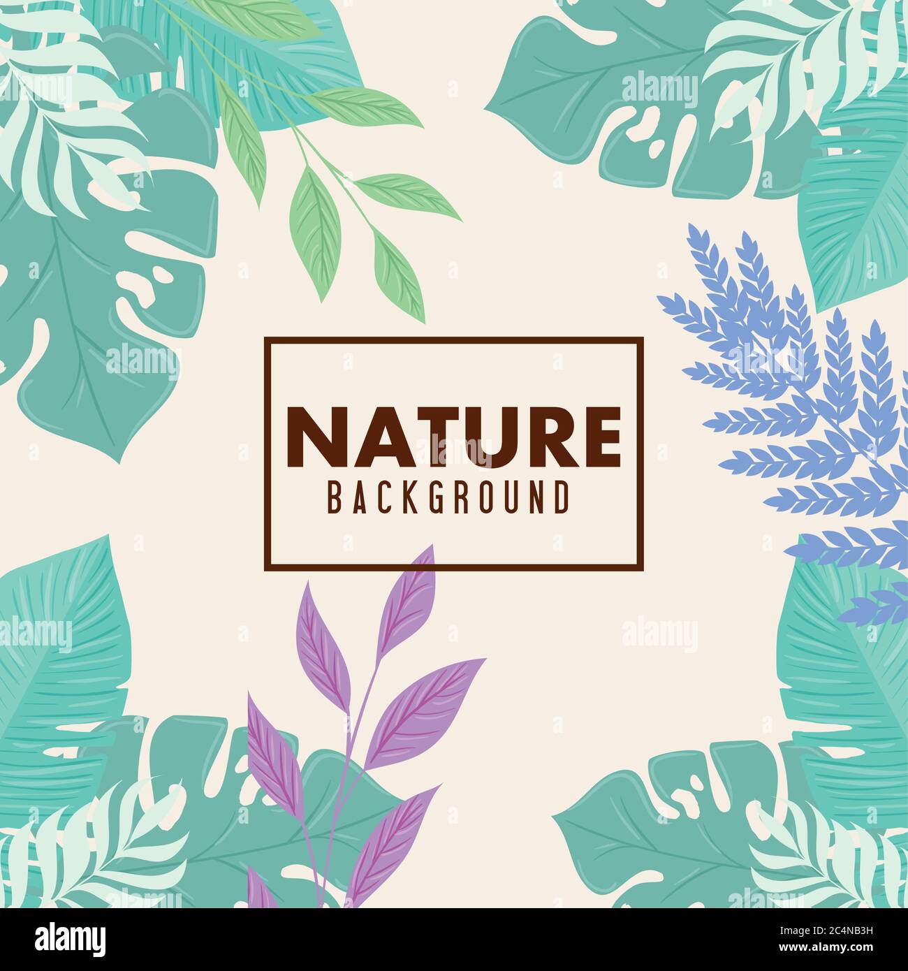 nature background, frame of tropical nature with branches and leaves of ...