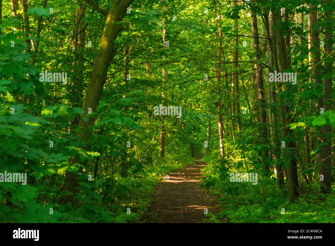 Morining hi-res stock photography and images - Alamy