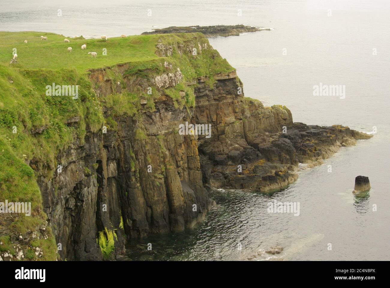 Coastline and cliff on Isle of Skye Scotland Stock Photo - Alamy