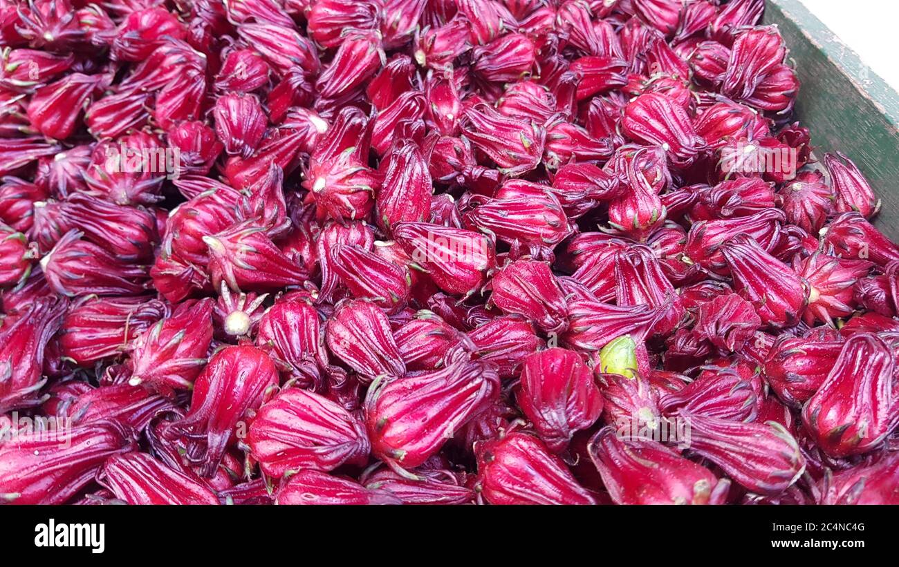Closeup shot of a bunch of Saril bought in the market of Panama City ...