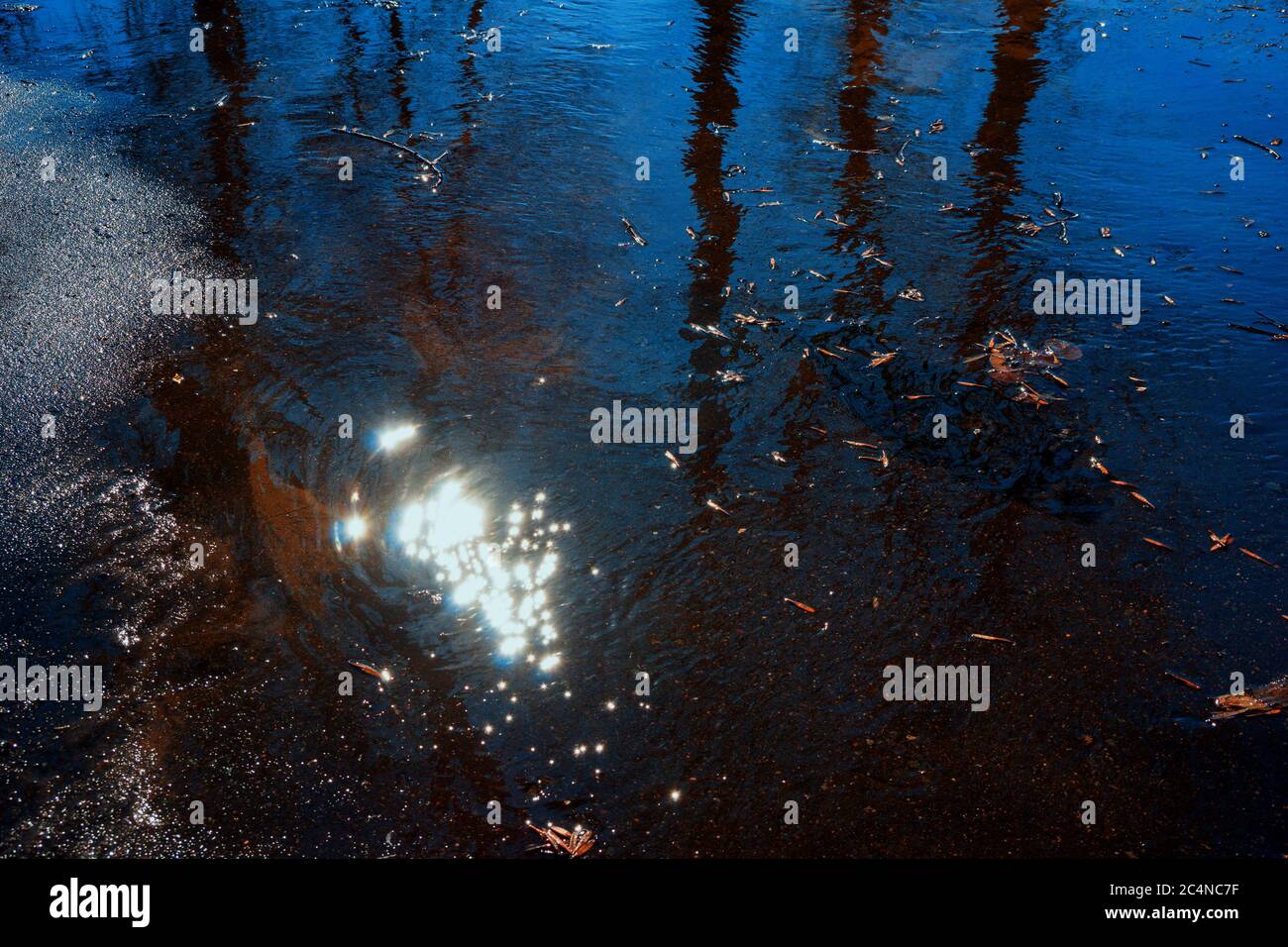 blue puddle sun Shine reflection of trees autumn or spring season ...