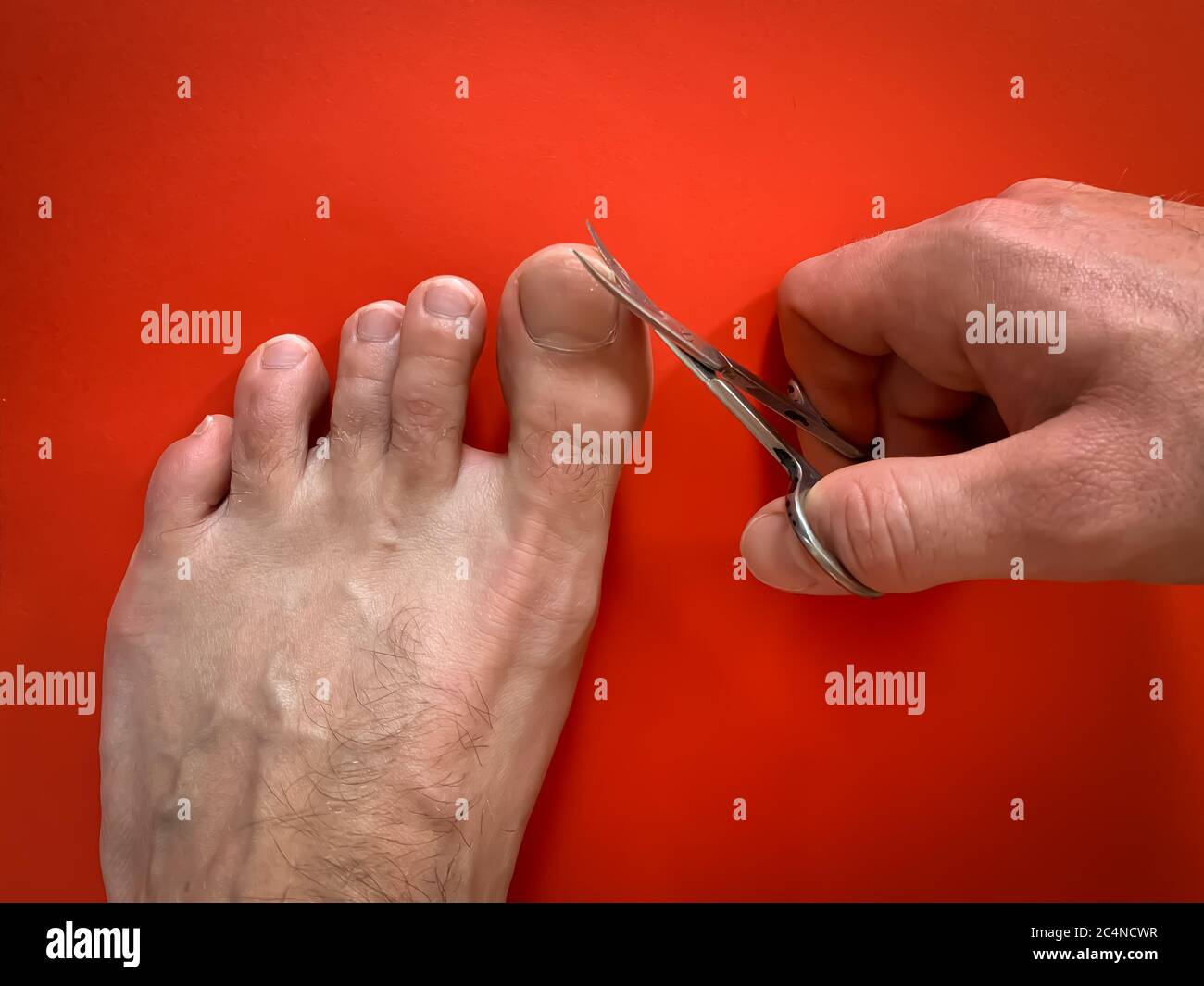 Toes feet cutout hi-res stock photography and images - Alamy