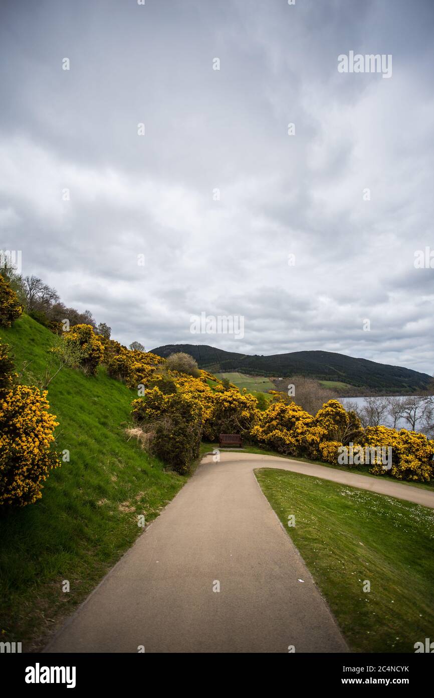 Long pathway surrounded by yellow flowers and the view of the beautiful ...