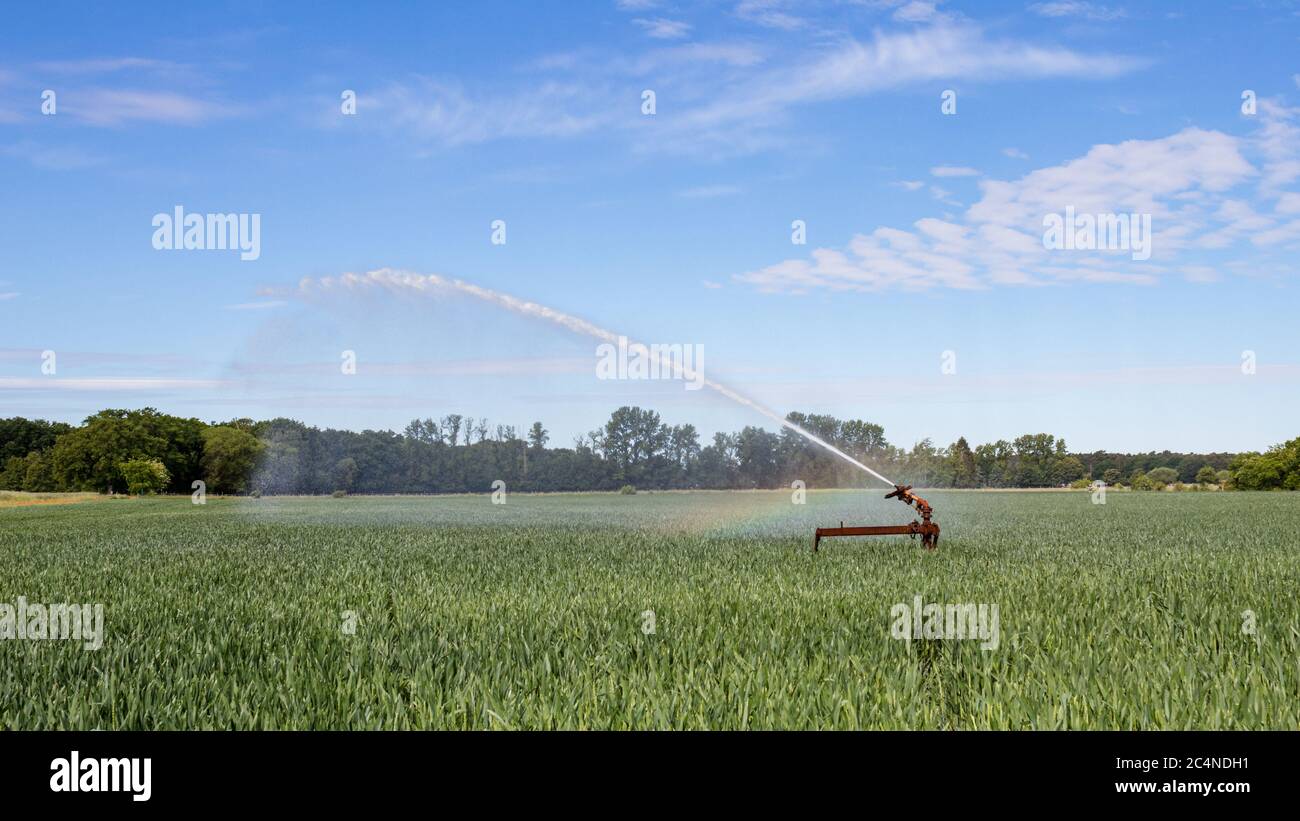 Wheat field irrigation hi-res stock photography and images - Alamy