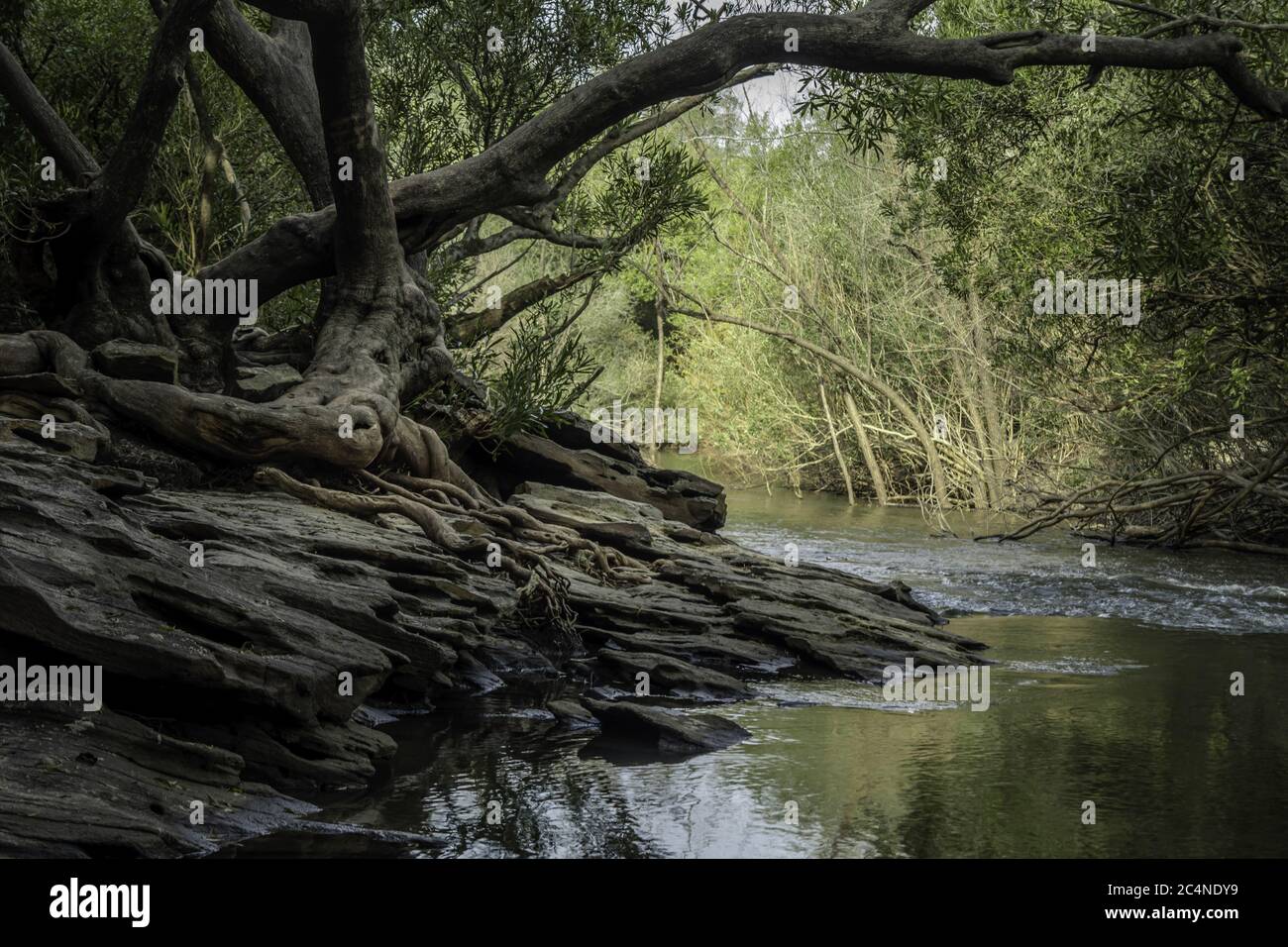 Float surrounded hi-res stock photography and images - Alamy