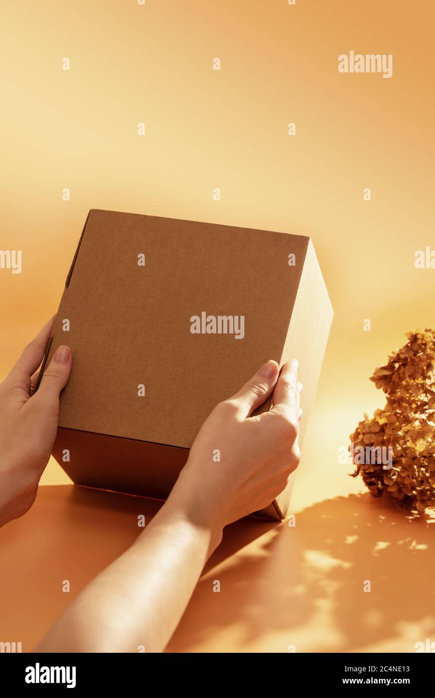View From Inside Cardboard Box High Resolution Stock Photography and ...