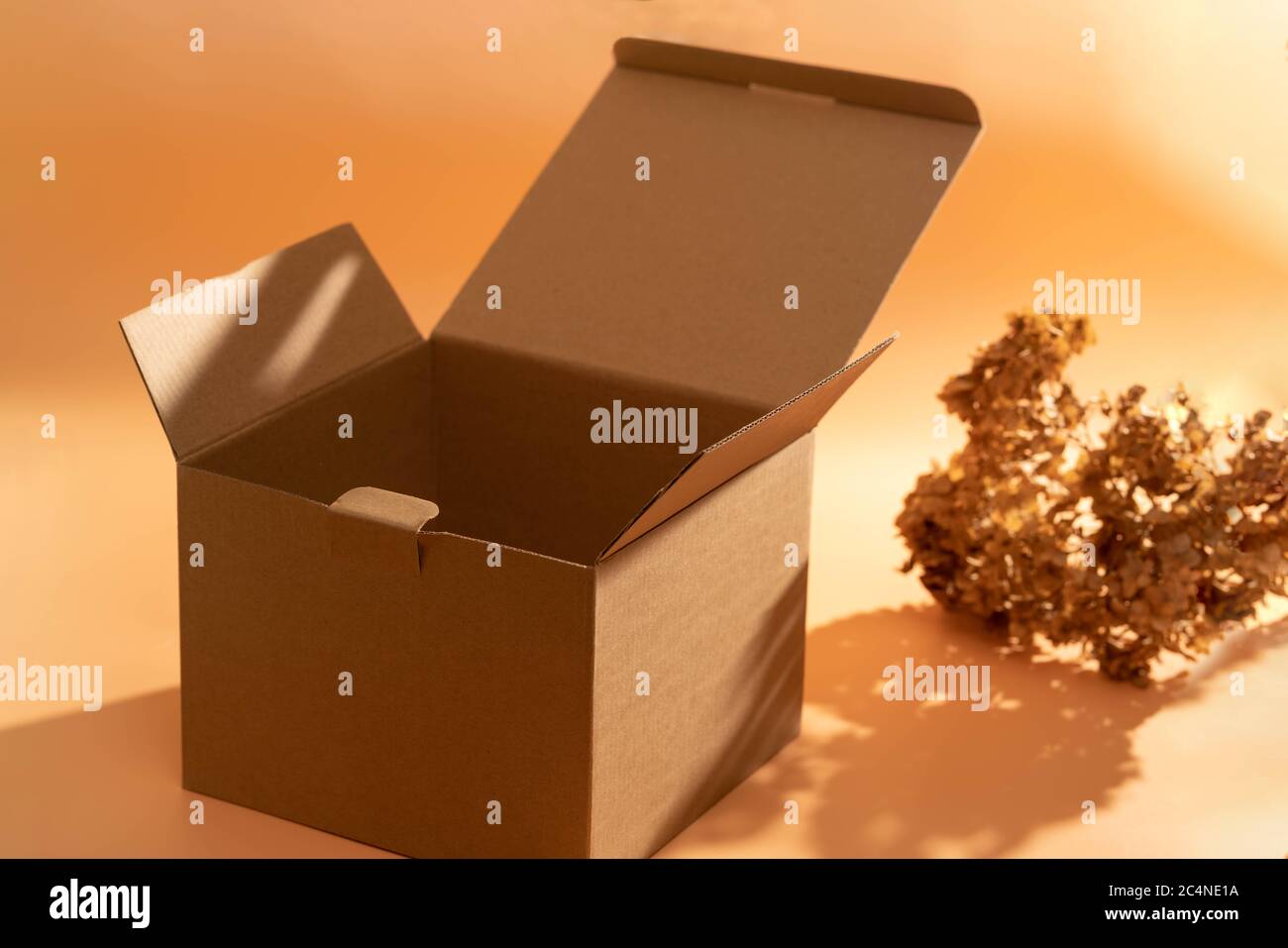Open cardboard box top view hi-res stock photography and images - Alamy
