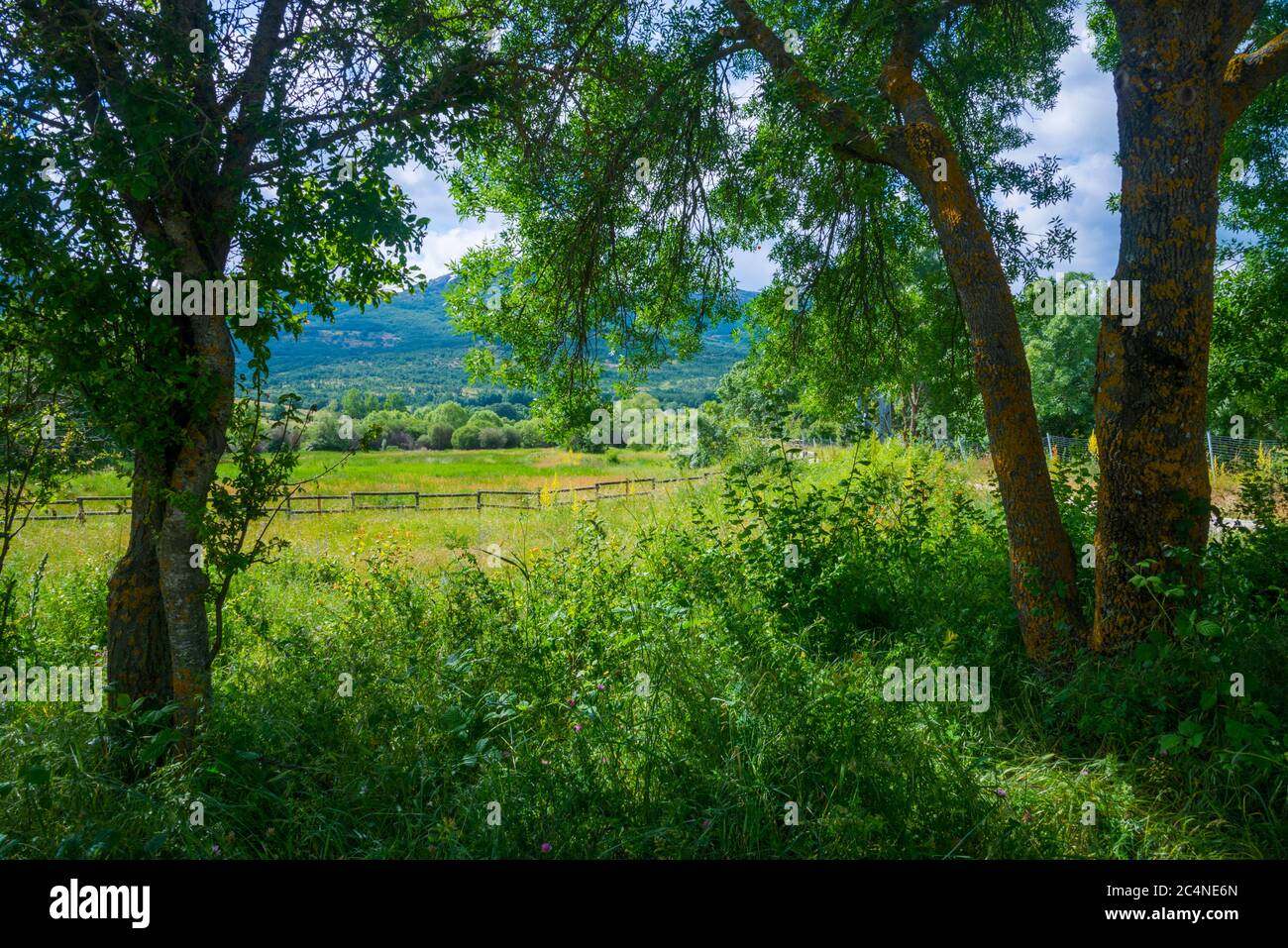 Landscape. Pinilla del Valle, Madrid province, Spain Stock Photo - Alamy
