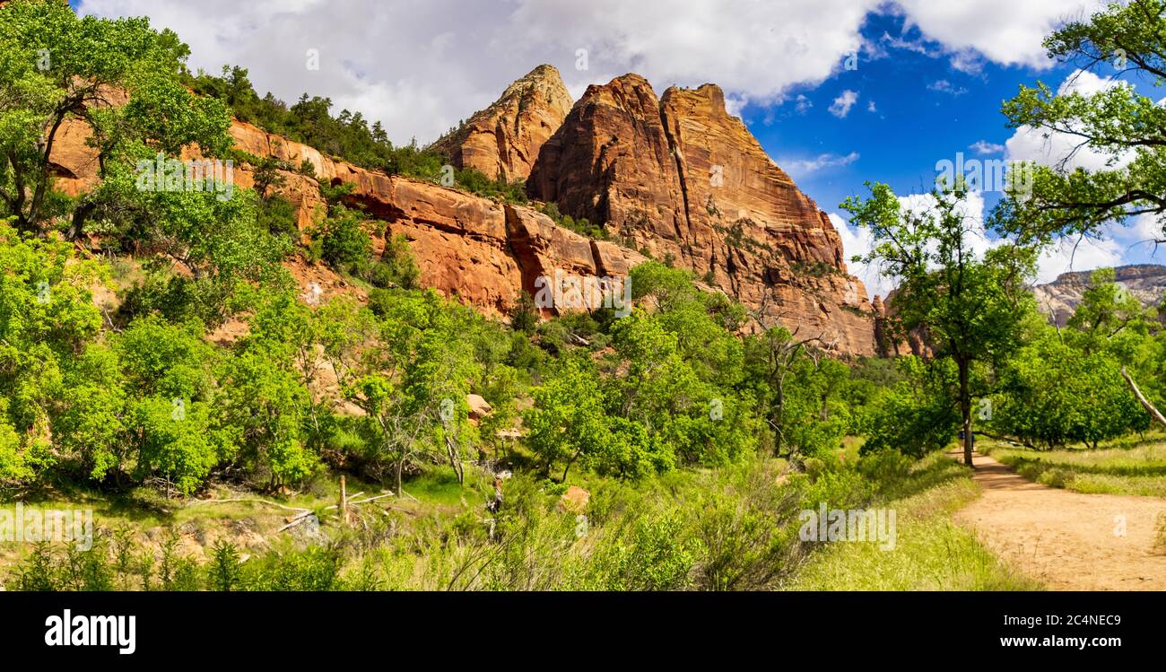 Beautiful scenery of the famous red cliffs at the Zion National Park ...