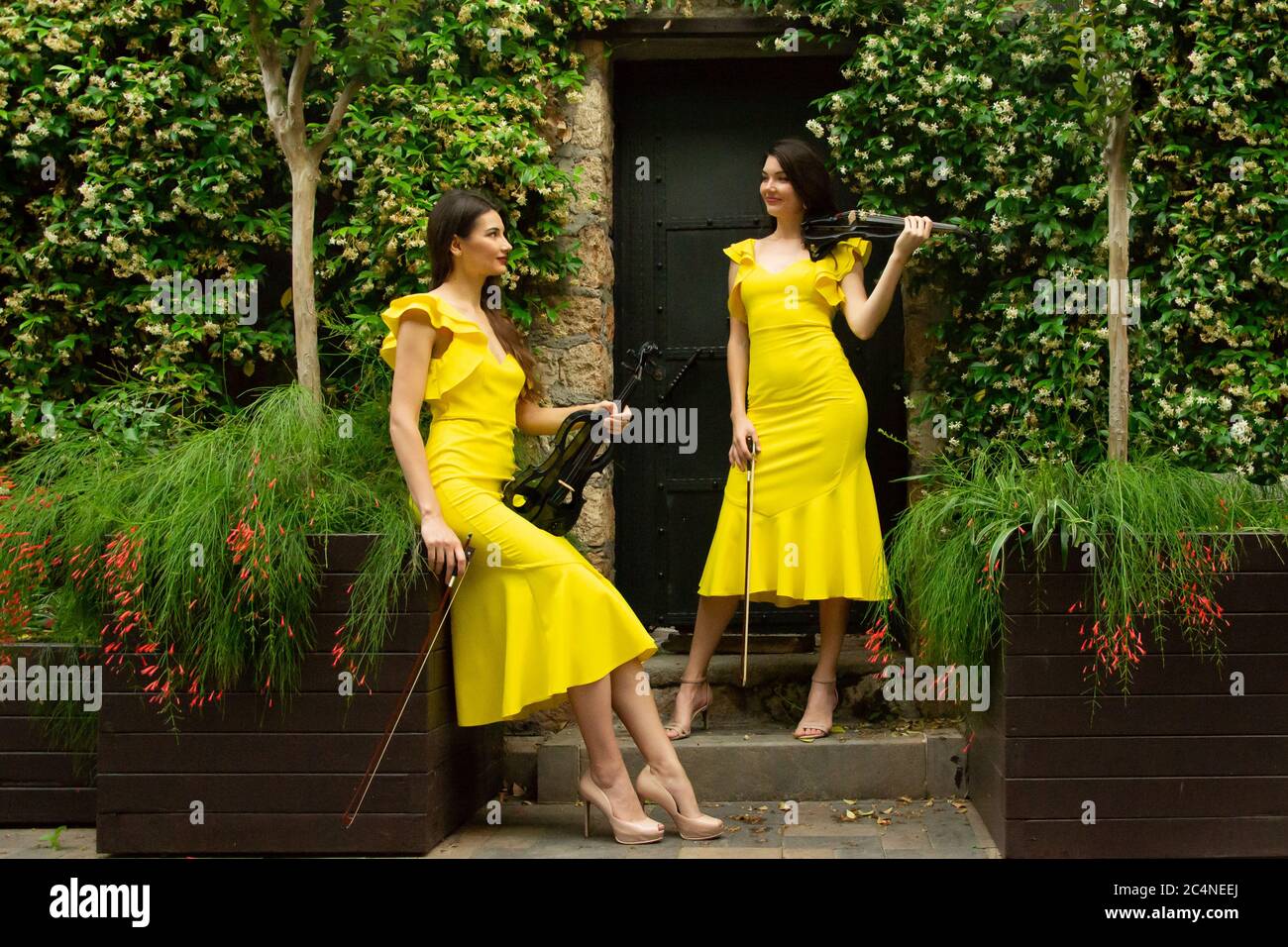 Two beautiful twin sisters violinists in yellow concert dresses are ...