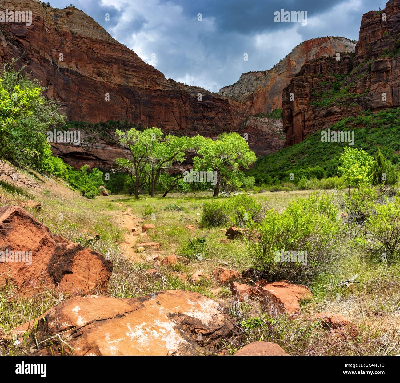 Beautiful scenery of the famous red cliffs at the Zion National Park ...
