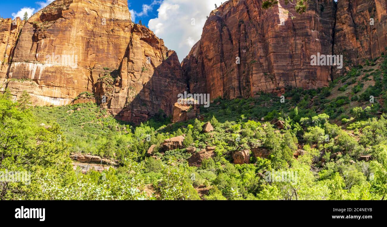 Beautiful scenery of the famous red cliffs at the Zion National Park ...