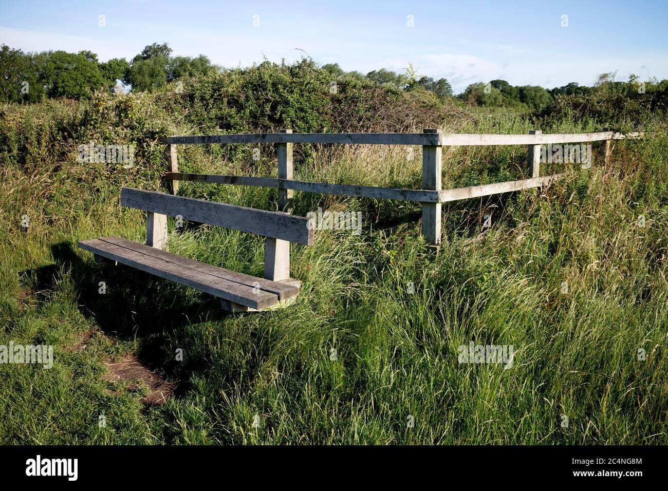 A former cattle drinking pond on the Lammas Field (St Mary's Lands ...