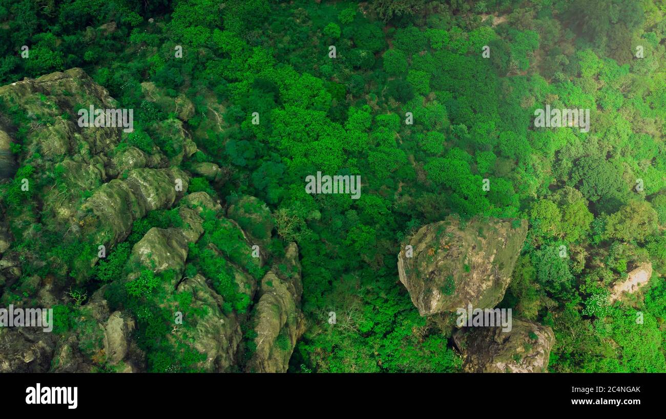 Aerial overhead sot of a forested green landscape - perfect for ...