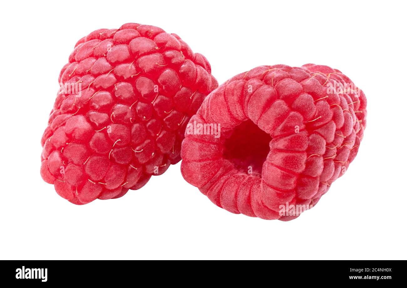 Two raspberries isolated on white background. Fresh raspberry isolate ...