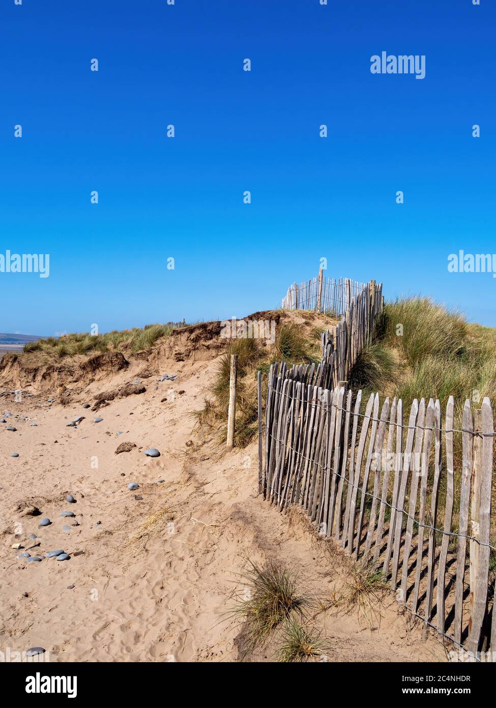 Sand dunes, north Devon, England. Northam Burrows. Vertical shot Stock ...