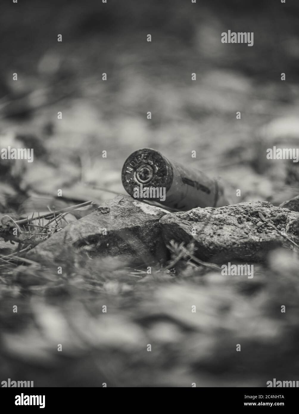 Vertical grayscale shot of a bullet lying on the ground Stock Photo - Alamy