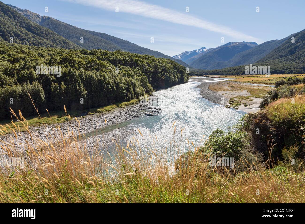 Makarora River from Cameron Flat looking towards Mount Brewster, Haast ...