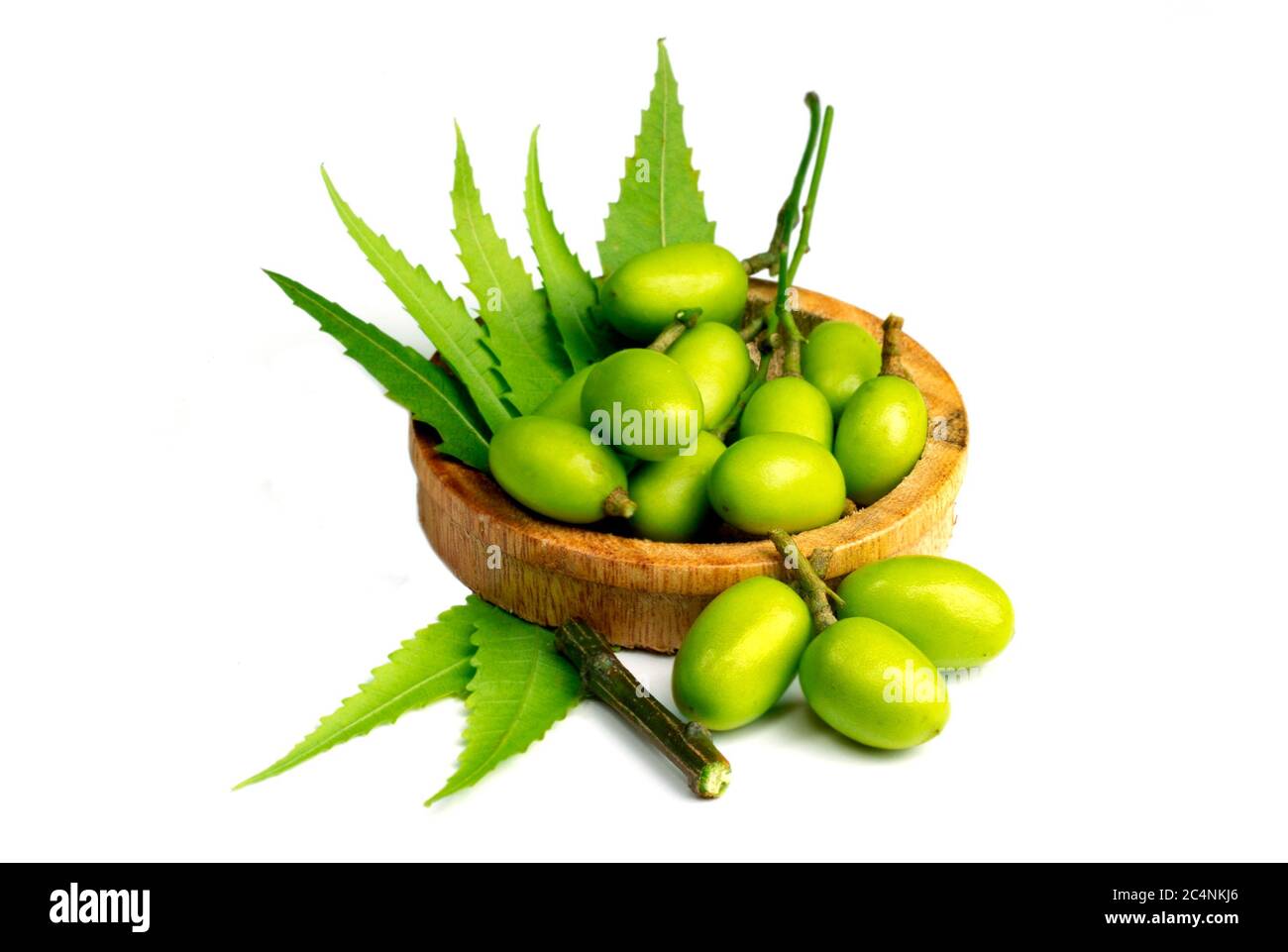 Medicinal neem fruits with twigs on white background Stock Photo - Alamy