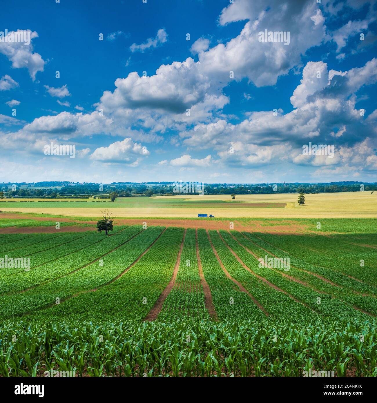 Farmland on a summer day Stock Photo - Alamy