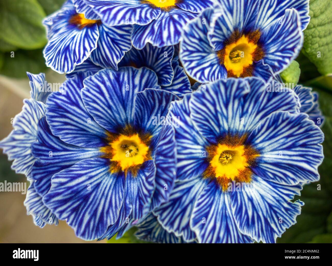 Full frame blue hi-res stock photography and images - Alamy